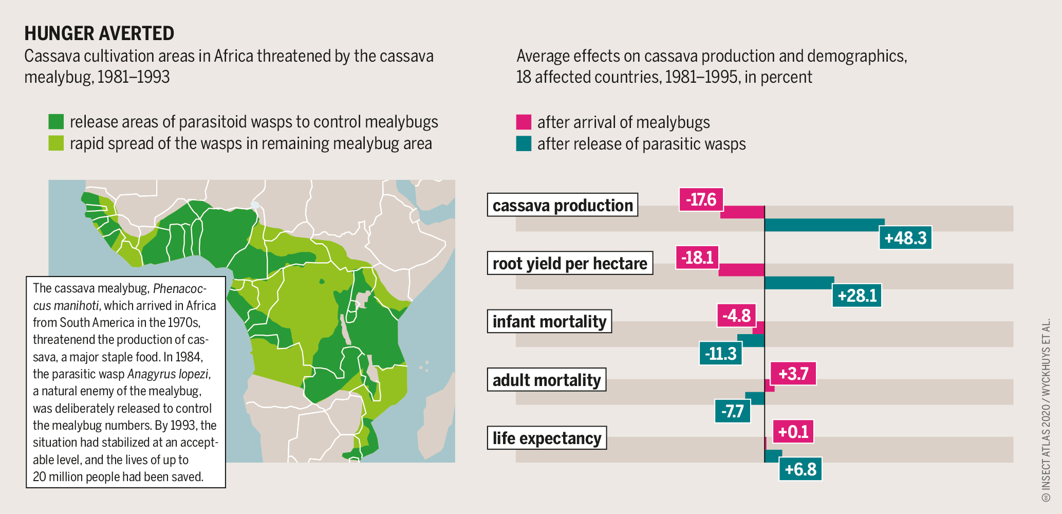 Insektensterben in Deutschland