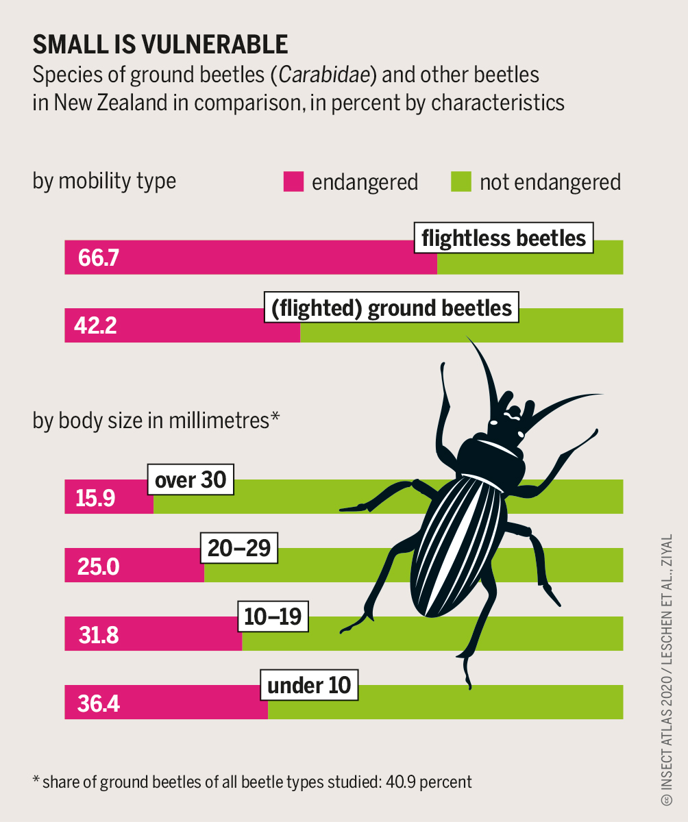 Global insect deaths: A crisis without numbers | Heinrich Böll Stiftung ...