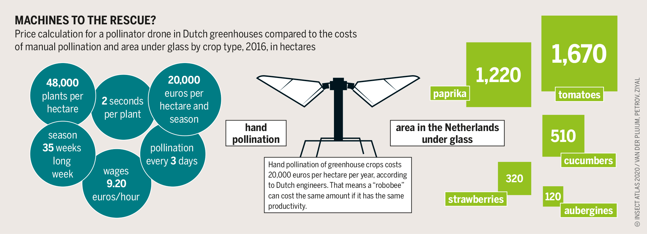 A world without insects: Technology won't save us | Heinrich Böll ...