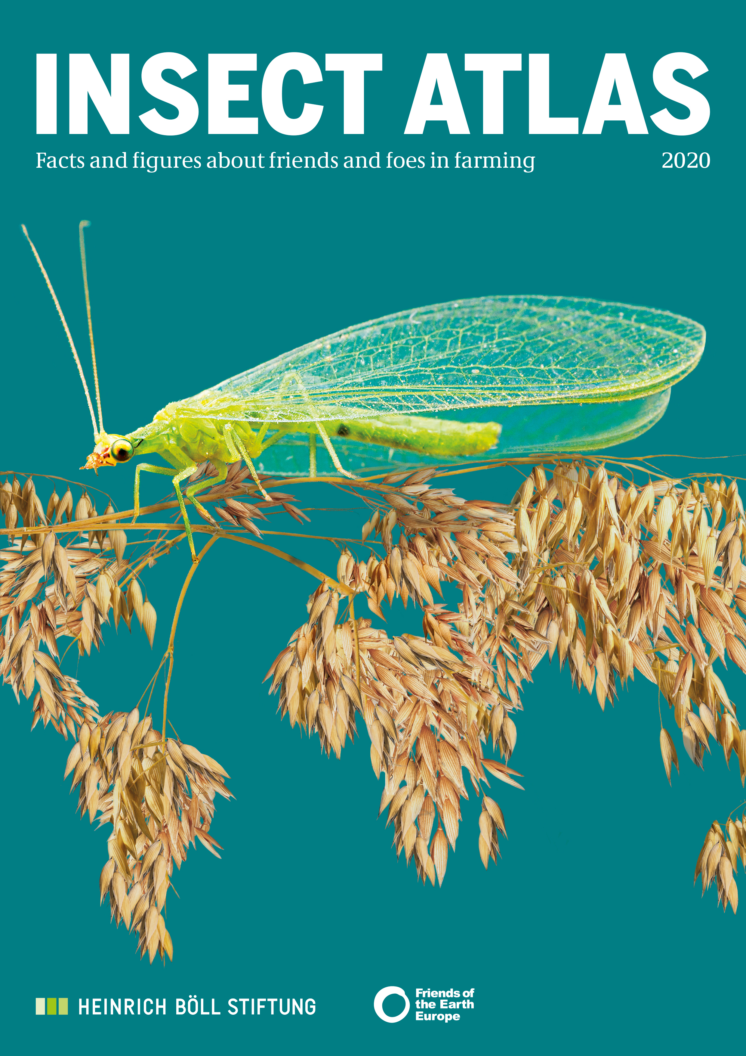 Global insect deaths: A crisis without numbers | Heinrich Böll Stiftung ...